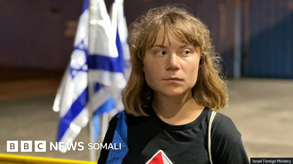 Doon sidday koox caan ah iyo samafalayaal gargaar u waday Gaza oo Israa ...