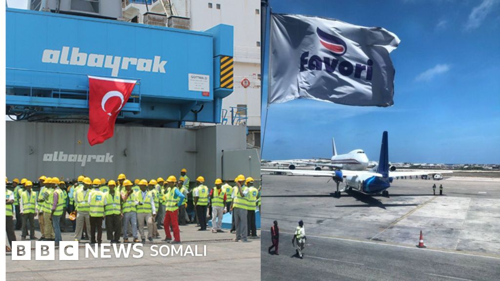 Maxaan ka naqaan shirkadaha Turkiga ee dowladda Soomaaliya sheegtay ...