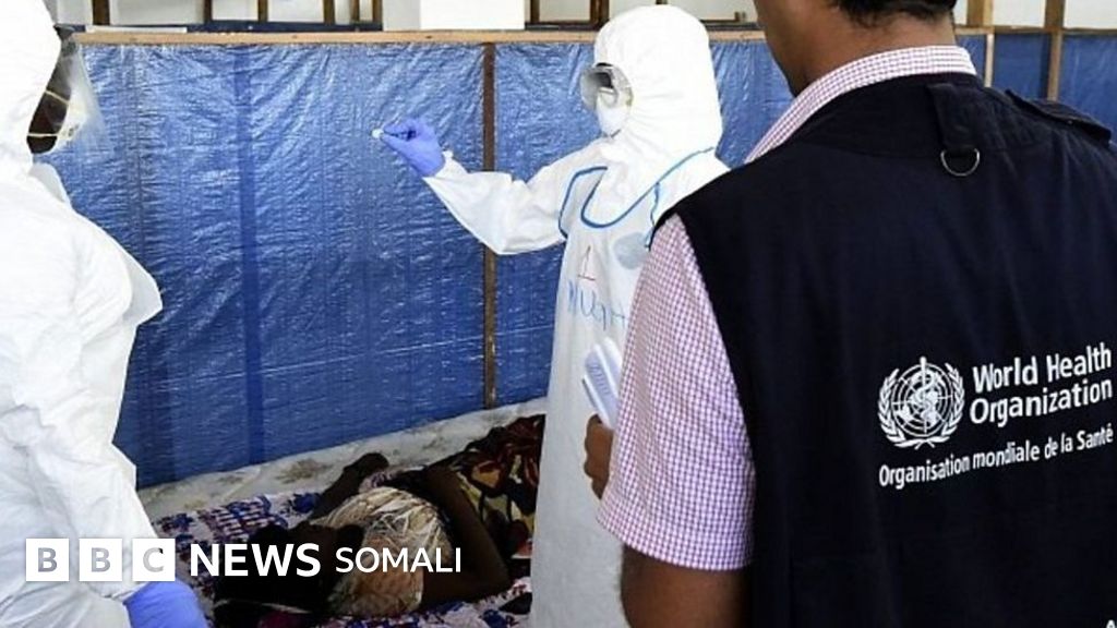 Dhakhtar Soomaaliyeed oo abaalmarin caalami ah ay gudoonsiiyey hay'adda ...