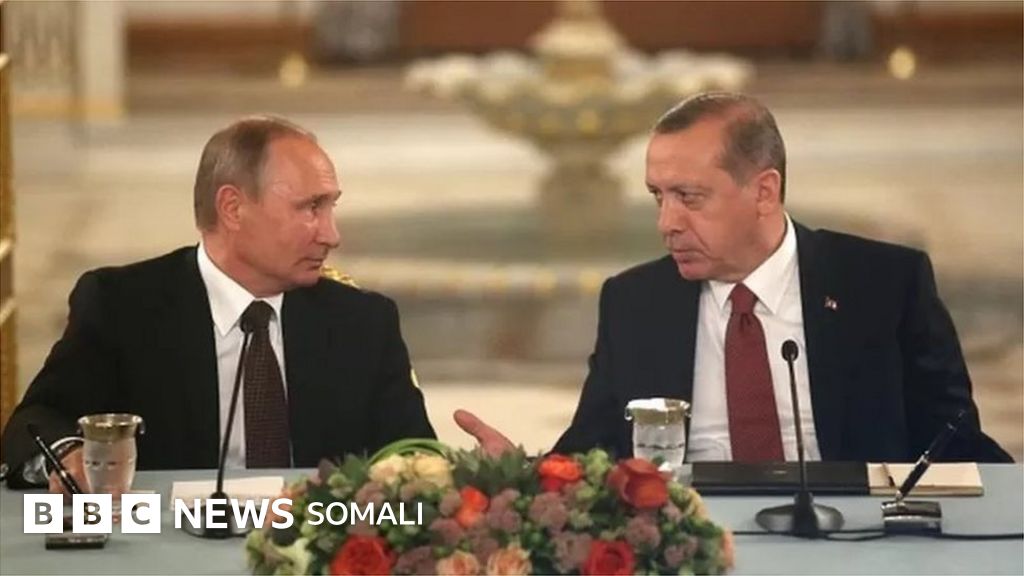 Reer Galbeedka mise Ruushka: Turkiga oo wajahaya "laba daran mid dooro" - BBC News Somali