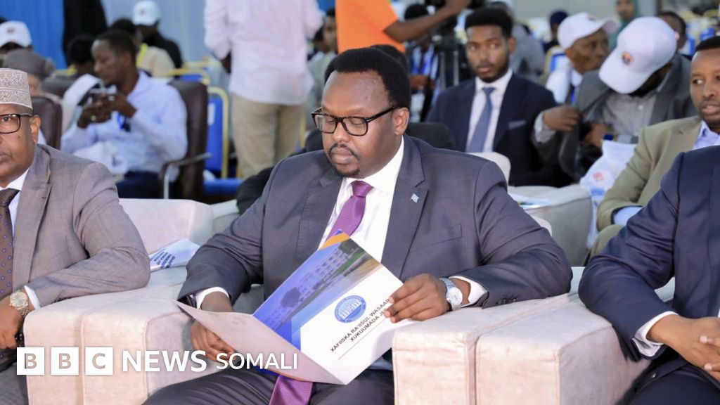 Maxaa haatan loogu baahday tirakoobka lagu sameynayo dadka Soomaaliya? - BBC News Somali