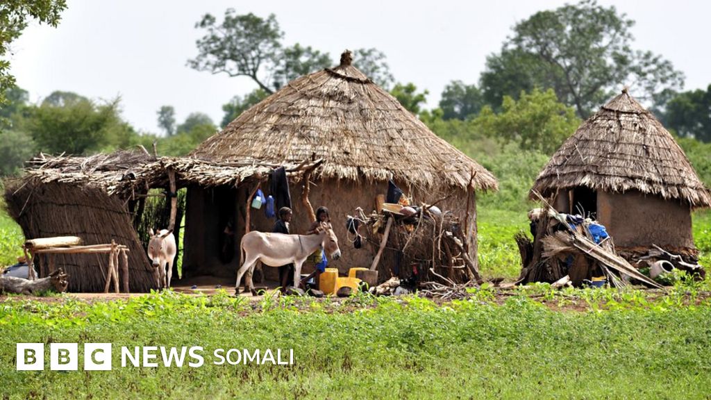Rag hubeysan oo 100 qof ku dilay dalka Mali - BBC News Somali