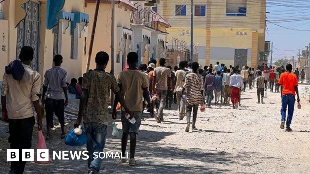 Faahfaahin ka soo baxaysa howgal ka dhan ah ajaaniibta oo ka socda ...