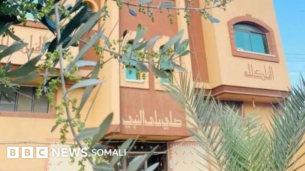 Maxaan ka ognahay guriga lagu dilay Yaxye Sinwar? - BBC News Somali