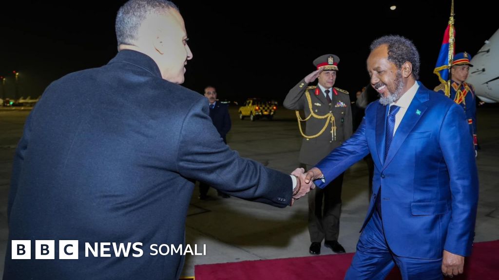 Maxaa laga ogyahay xiriirka soo jireenka ah ee Soomaaliya iyo Masar ...