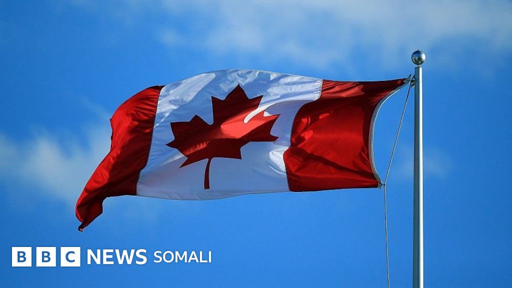 Maxaa sababay in Canada ay dalkeeda ka tarxiisho dad Soomaali ah? - BBC ...