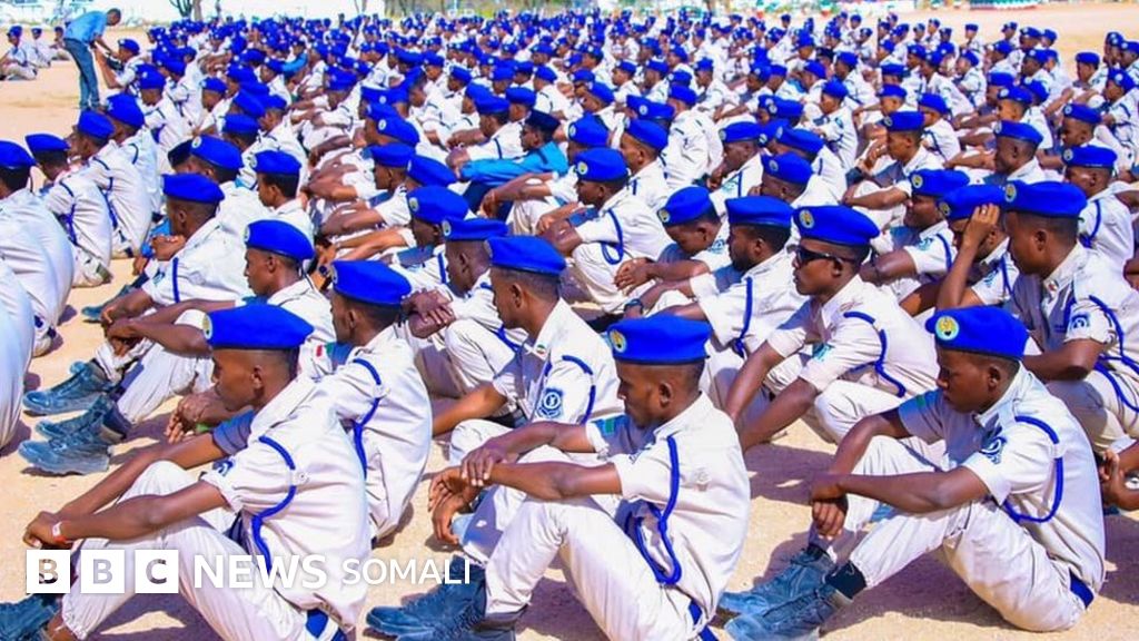 Wax ka ogow awoodda iyo qaybaha ciidanka Somaliland - BBC News Somali