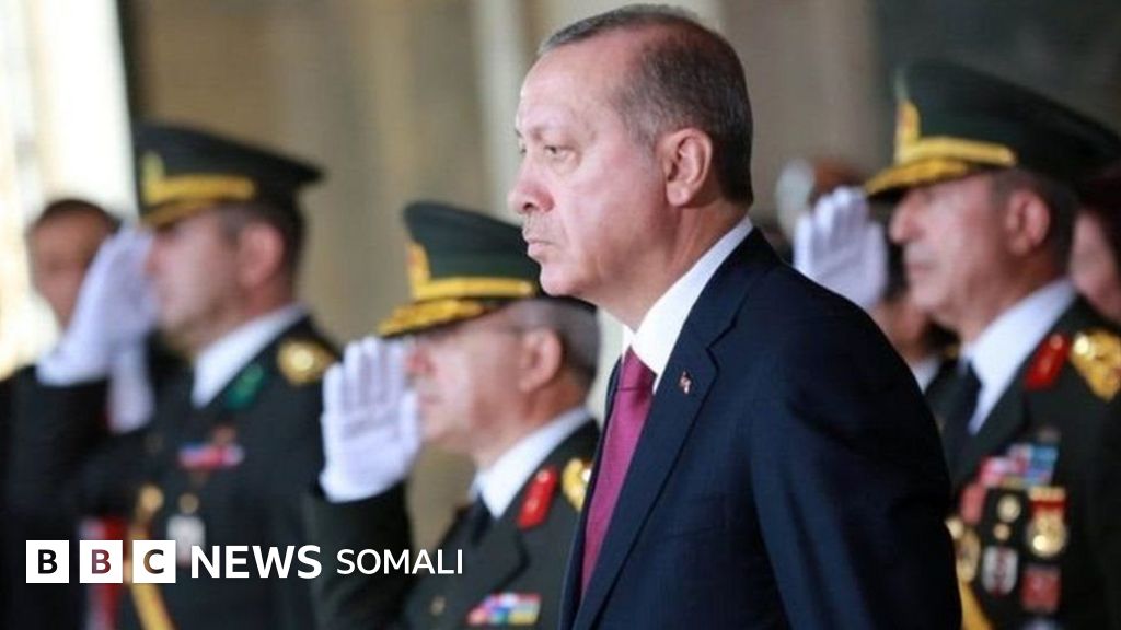 Turkiga oo shaqada ka eryay shaqaale hor leh - BBC News Somali