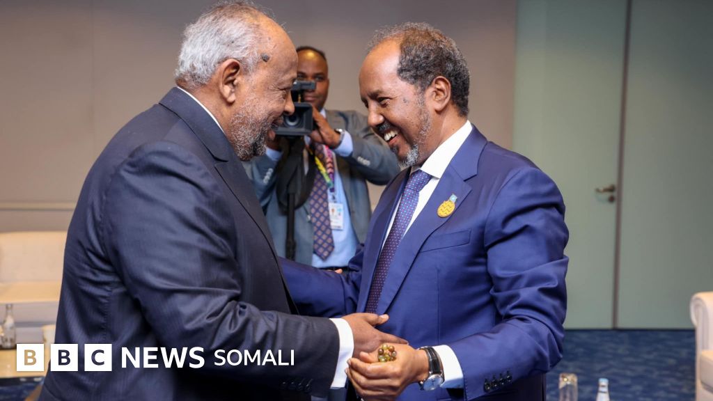 Madaxweynaha Djibouti oo u diray caalamka digniin la xiriirta ...