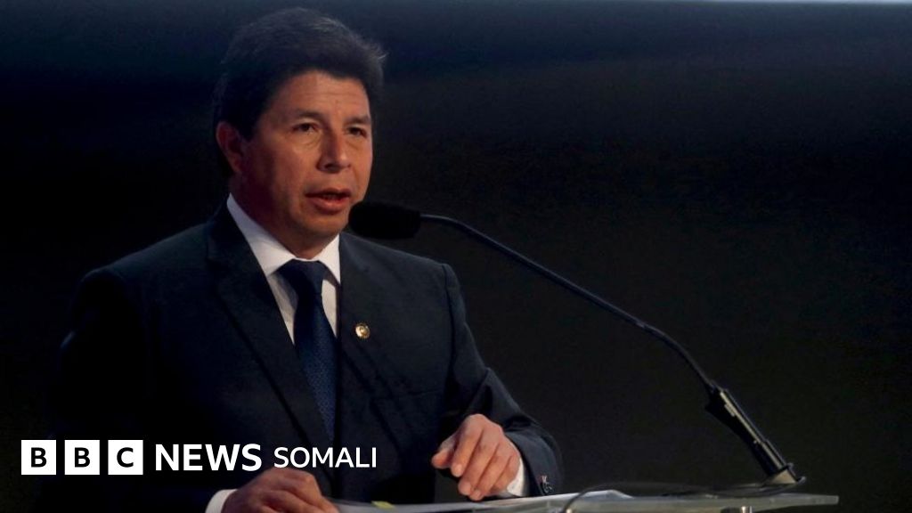 Madaxweyne dalkiisa amar lama filaan ah uga dhawaaqay oo xabsiga la ...