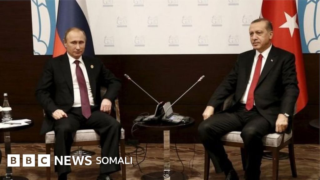 Turkiga, Ruushka iyo Iiran oo ka shiraya xaaladda Suuriya - BBC News Somali