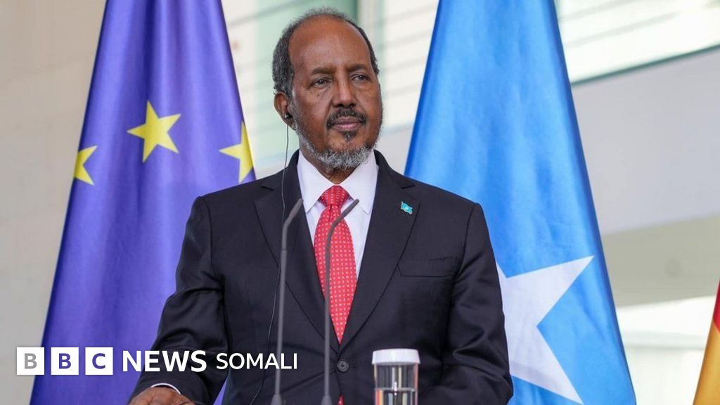 Sidee Soomaalida Jarmalku arkaan go'aanka madaxeyne Xasan uu ku aqbalay ...