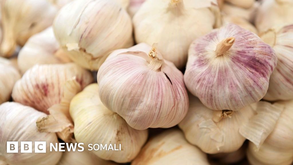 Maxaad ka taqaanaa toonta iyo faa'iidada ay kuu leedahay? - BBC News Somali