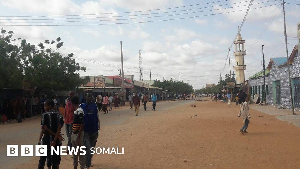 Waraysi: Colaaddii Buuhoodle oo la damiyey - BBC News Somali