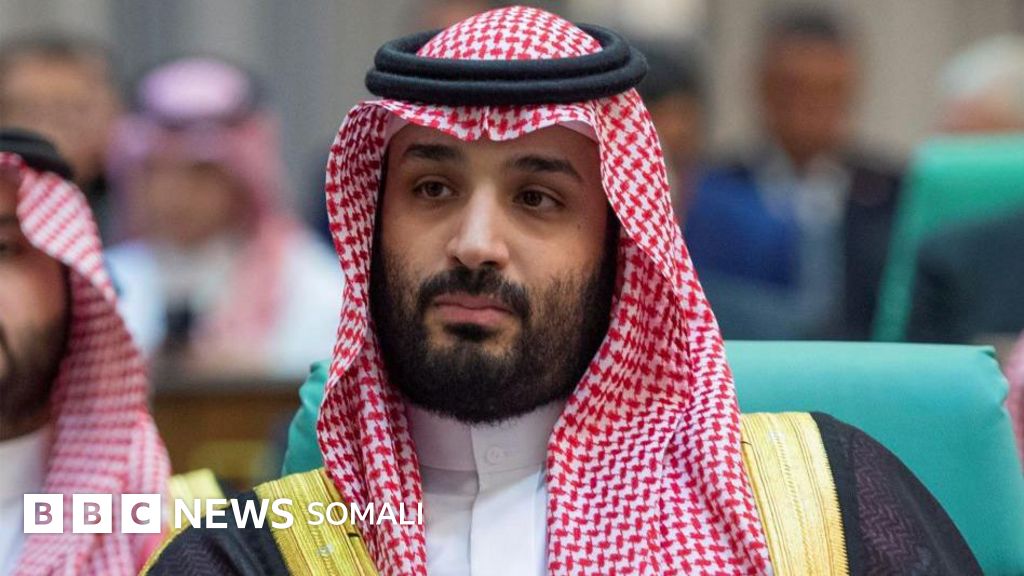 Koox isku dayday in Maxamed Bin Salmaan lagu xiro Faransiiska? - BBC ...