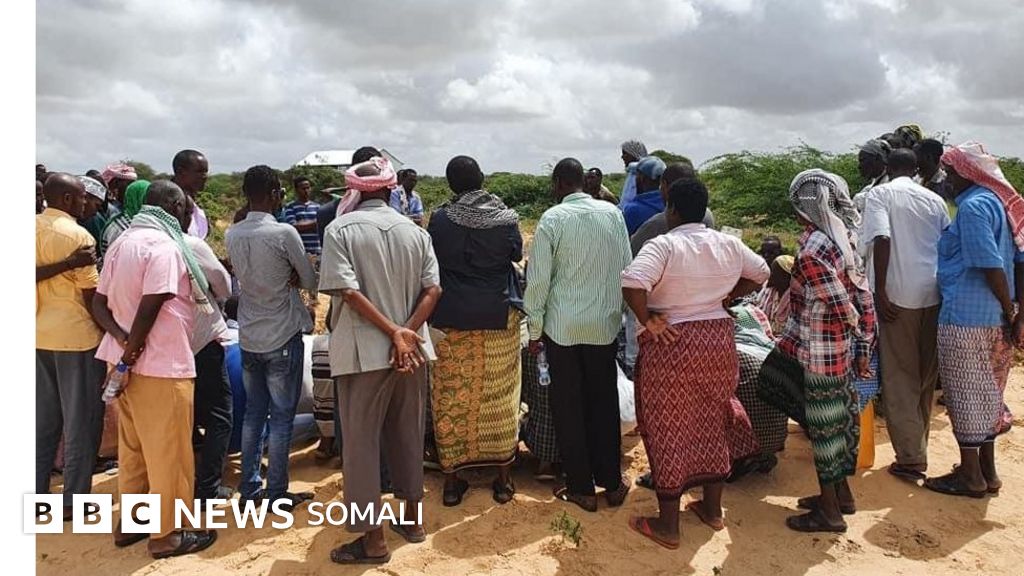 Cadho ka dhalatay gabadh 'dabaq laga soo tuuray' - BBC News Somali