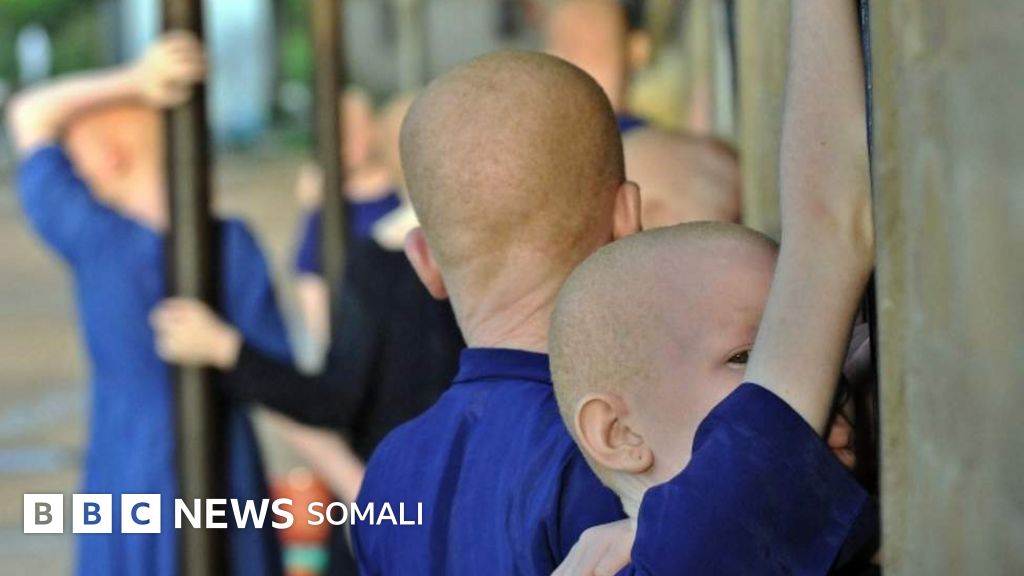 Tuugo faagatay qabuuro ku yaala Zambia - BBC News Somali