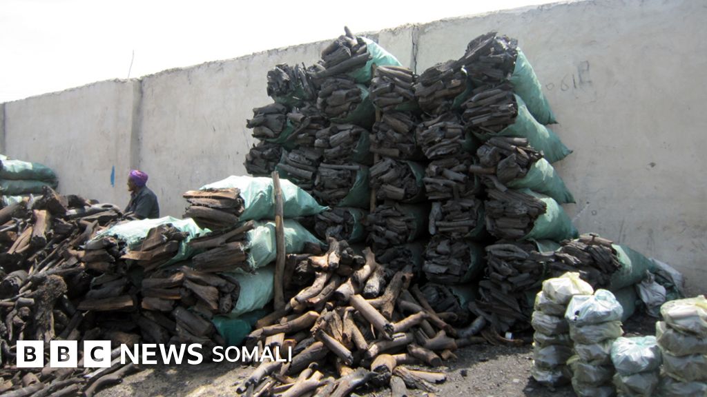 Buugaag free ah, Banaadir Region (0682133383)