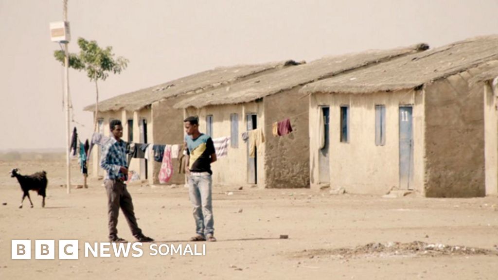 Soomaali qaxooti ku ah Sudan oo doonaysa in dal seddexaad loo qaado ...