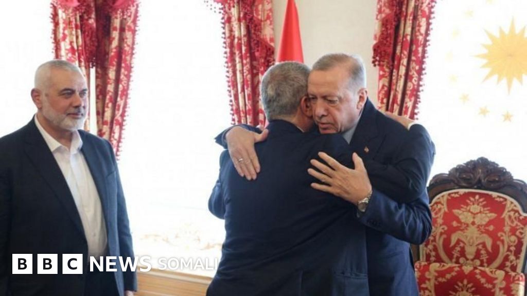 Erdogan oo sheegay in guusha Falastiiniyiintu ku jirto midnimadooda ka ...