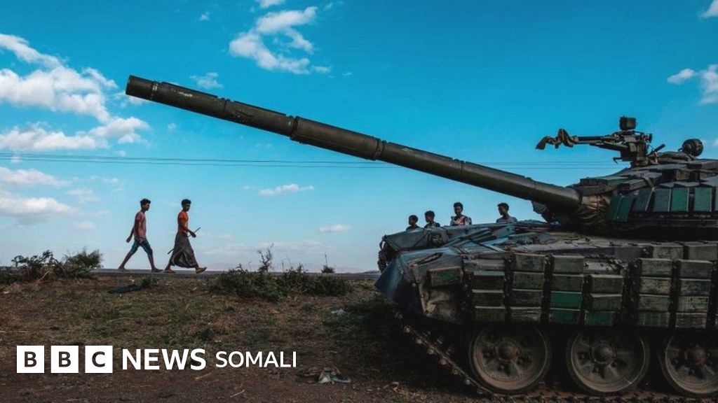 Muxuu Midowga Yurub u hakiyay dhaqaalihii uu siin jiray Itoobiya? - BBC ...