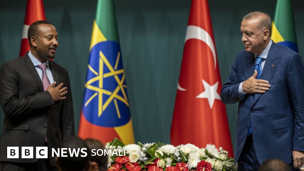 Qalalaasaha Tigray: Turkiga ma wuxuu doonayaa in uu dhexdhexaadiyo Abiy ...