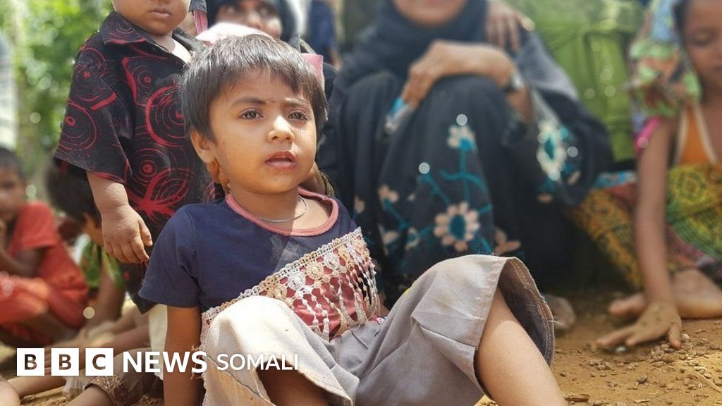 Caruur ka soo qaxday Myanmar oo aysan waalidkood la socon - BBC News Somali