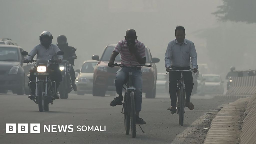 Maxkamad ku taalla Hindiya ayaa sheegtay in dunidoo dhan ay "ku ...