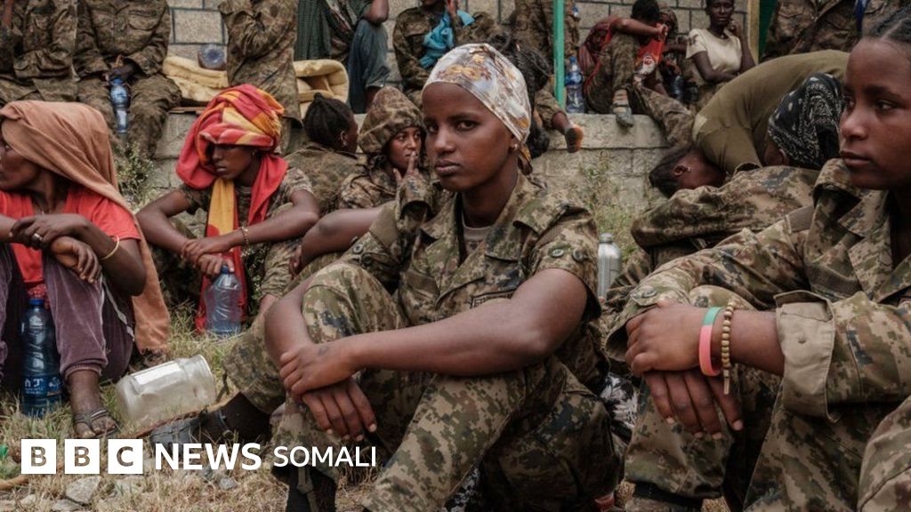 Qalalaasaha Tigray: TPLF oo gacanta ka taagatay dagaalka Itoobiya - BBC ...