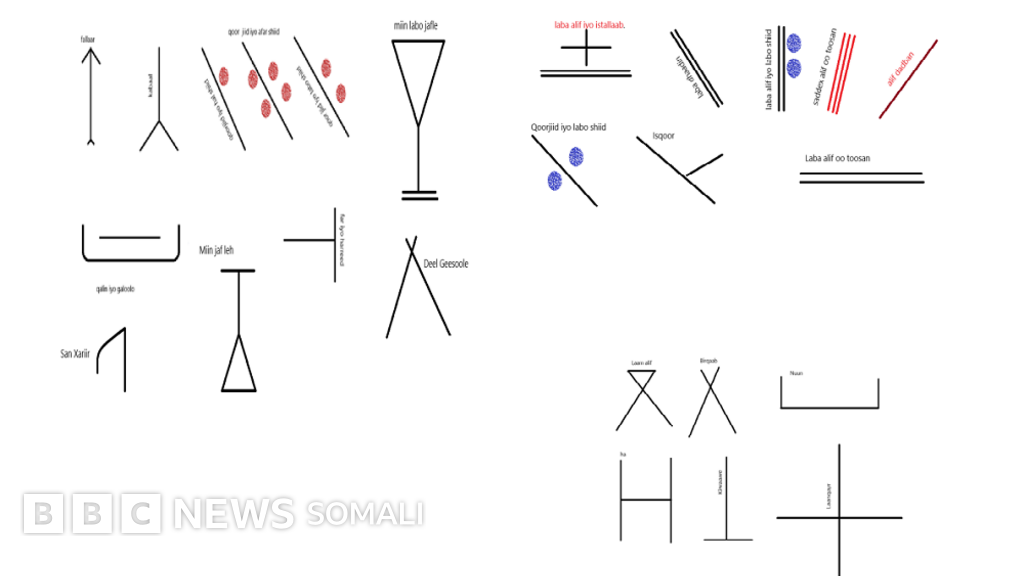 Maxaad ka taqaan sida Soomaalidu u isticmaasho sumadda xoolaha - BBC ...
