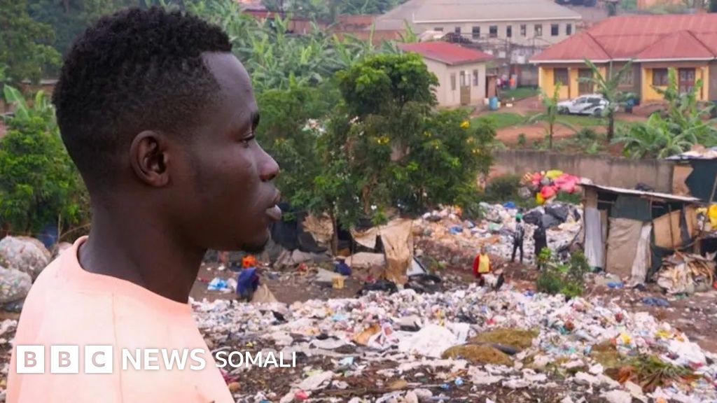 'Saaxiibkaygii ugu fiicnaa isagoo shaqo aaday ayaa qashin ku dumay ...