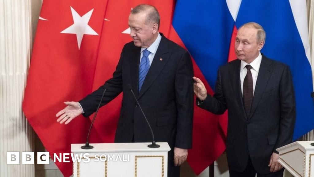 Turkiga iyo Ruushka oo heshiis xabbad joojin ku gaaray Moscow - BBC ...