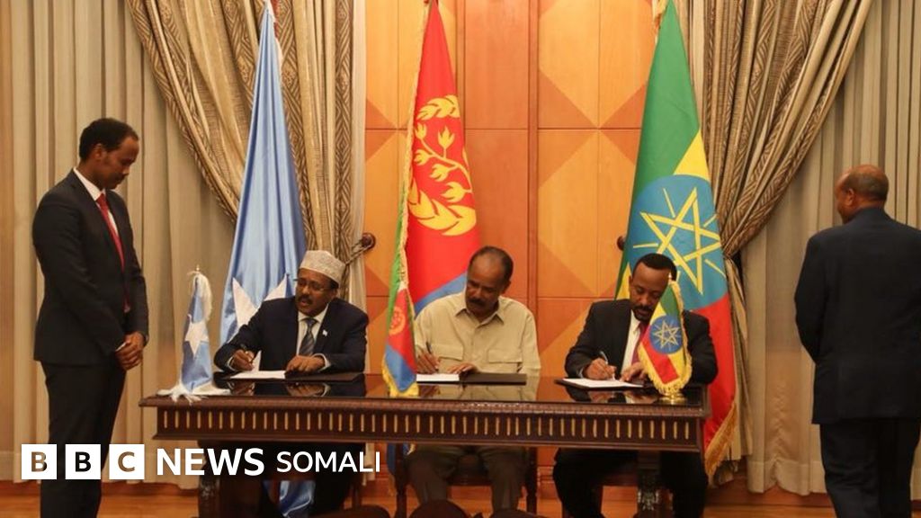 Maxay ku heshiiyeen madaxda dalalka geeska Afrika ee ku shiray Asmara ...