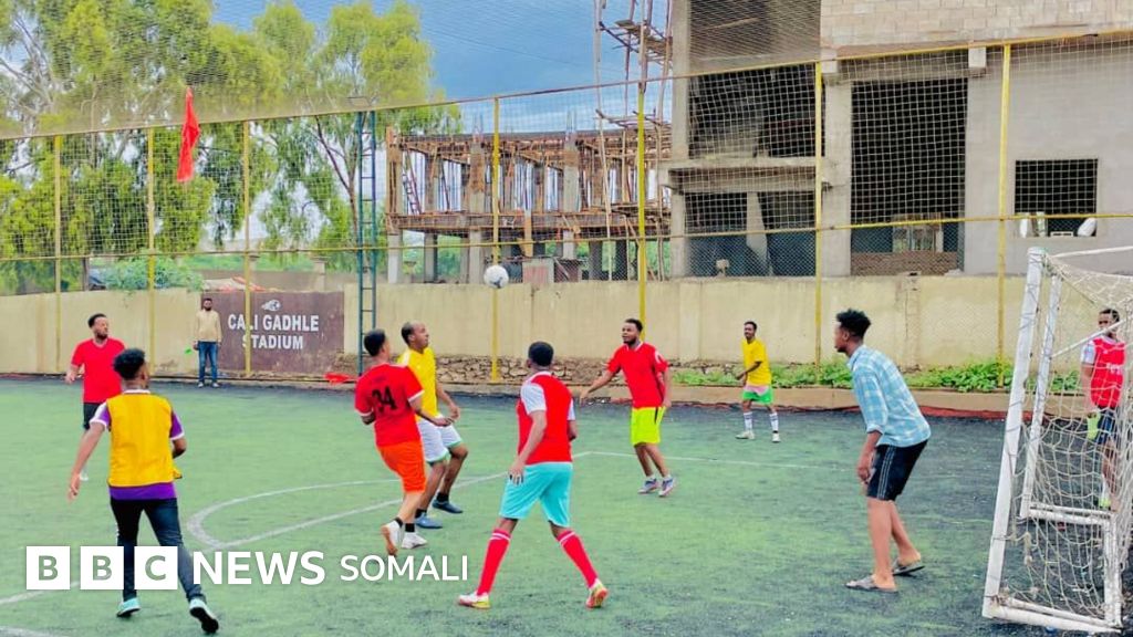 Sababaha keena dhaawacyada ka dhaca garoomada kubbadda lagu ciyaaro ee ...