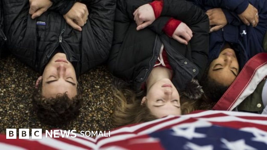 Sharciga hubka oo muran weyn ka dhaliyay dalka Maraykanka - BBC News Somali