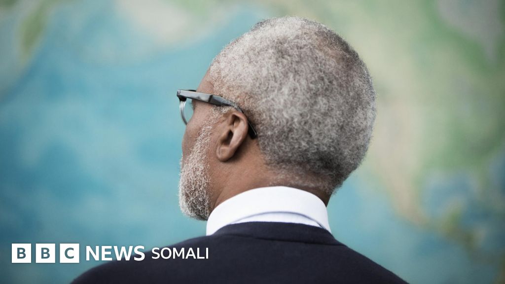 Saynisyahanno ogaaday waxa keena cirrada timaha, sheegayna in xal loo ...