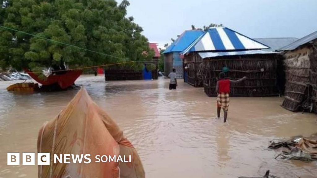 Wax ka ogow deegananada Soomaalida ee laga digayo iney fatahaado ka ...