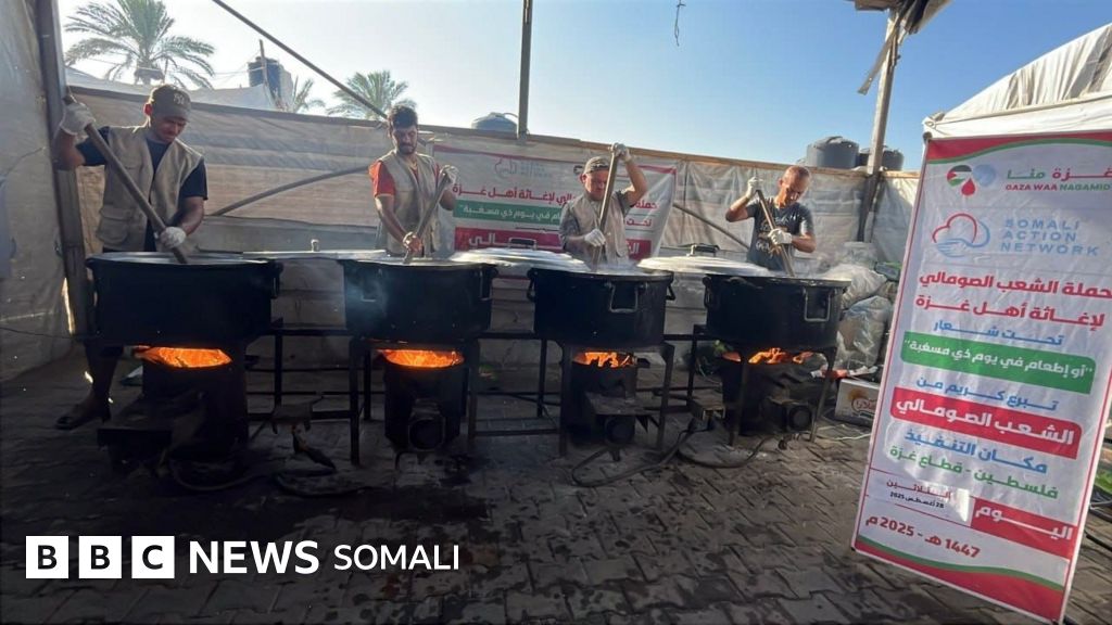 Maxaan kala soconnaa jikada Soomaalida ee Qasa laga furay si loogu ...
