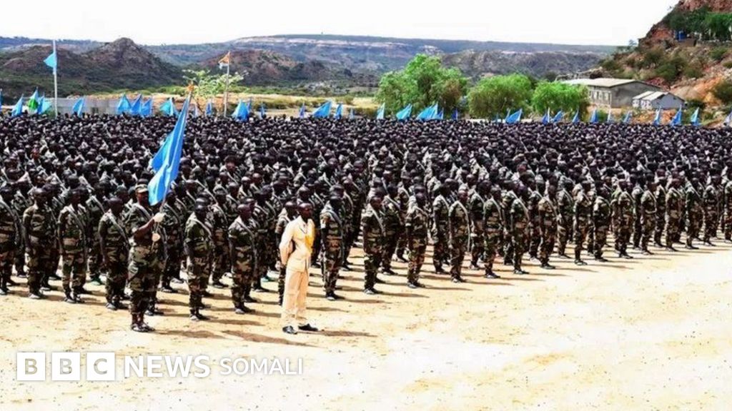 Maxaa awoodda militeri ee Soomaaliya sannadkan iska badalay, kaalintee ...