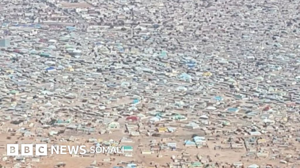 Xaalada abaarta Soomaaliya oo sii xumaanaysa - BBC News Somali