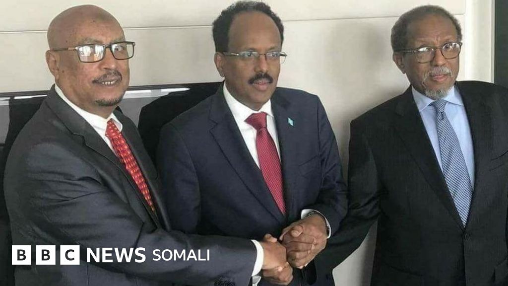 Faysal Cali Waraabe, ma mucaaradbaa mise muxaafad? - BBC News Somali