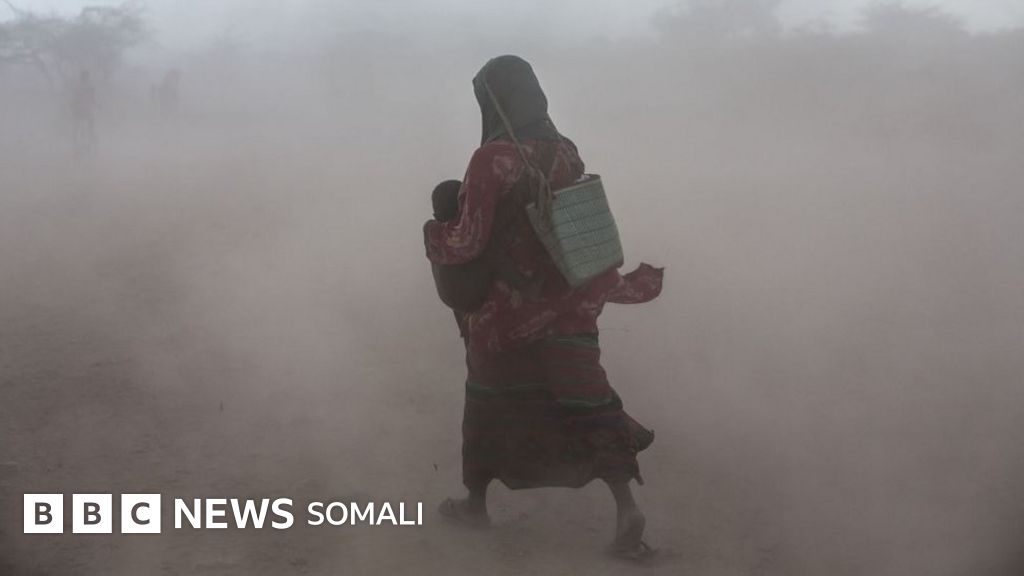 Abaarta Soomaaliya: "Wiilkeyga waddada ayaan kusii aasay gabadheydana ...