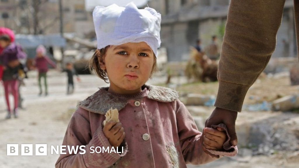 Suuriya: Dadka dhaawacyada culus qaba oo laga daadgureynayo Douma - BBC ...