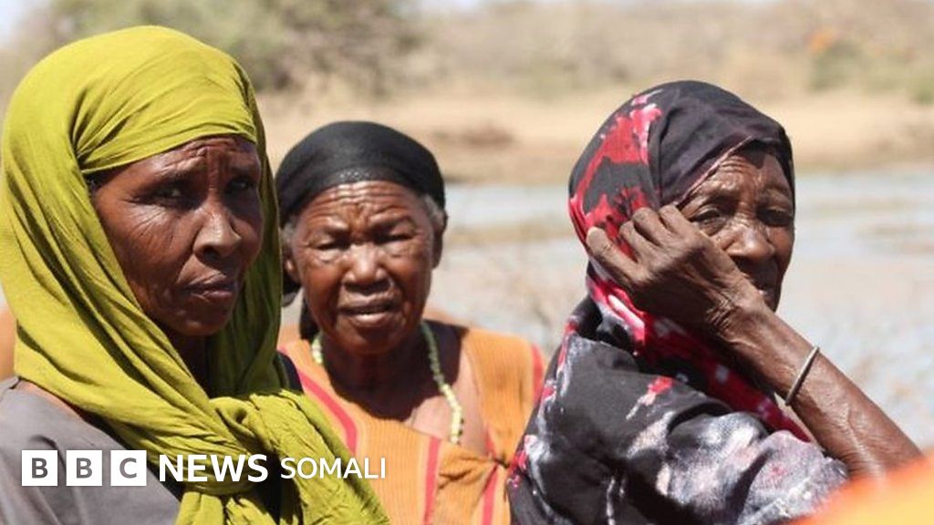 Soomaali internetka lacag ugu ururinayo abaarta - BBC News Somali