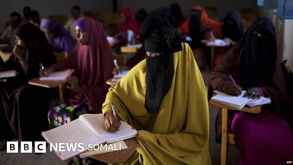 Gabadh madax ka ah waax Jaamacadeed - BBC News Somali