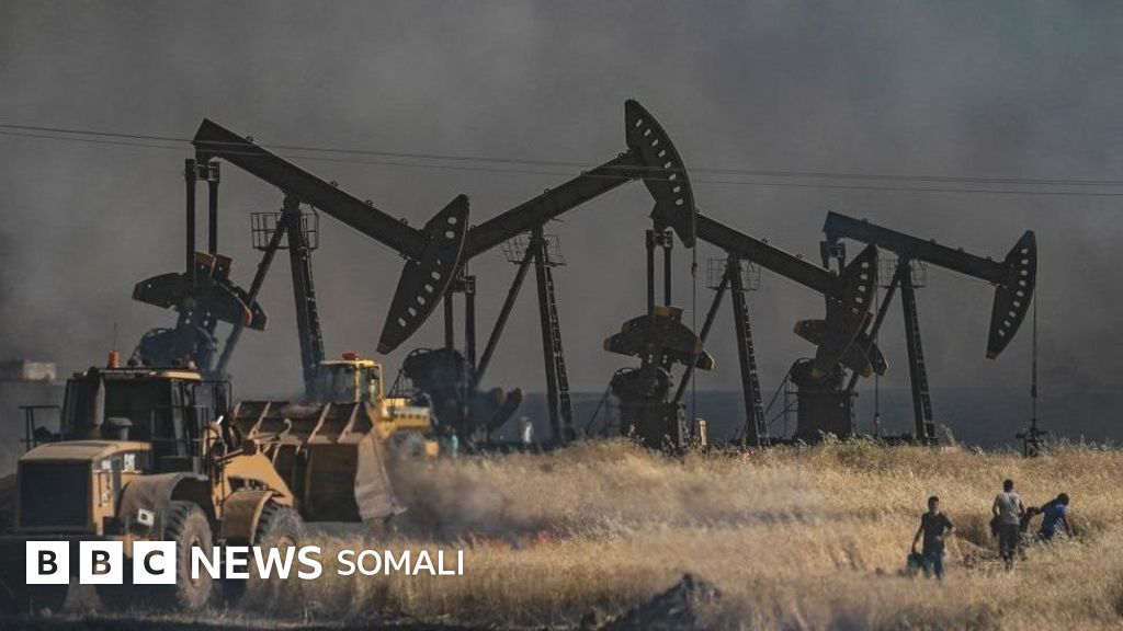 Trump ma wuxuu "saliid ka xadayaa" Suuriya? - BBC News Somali