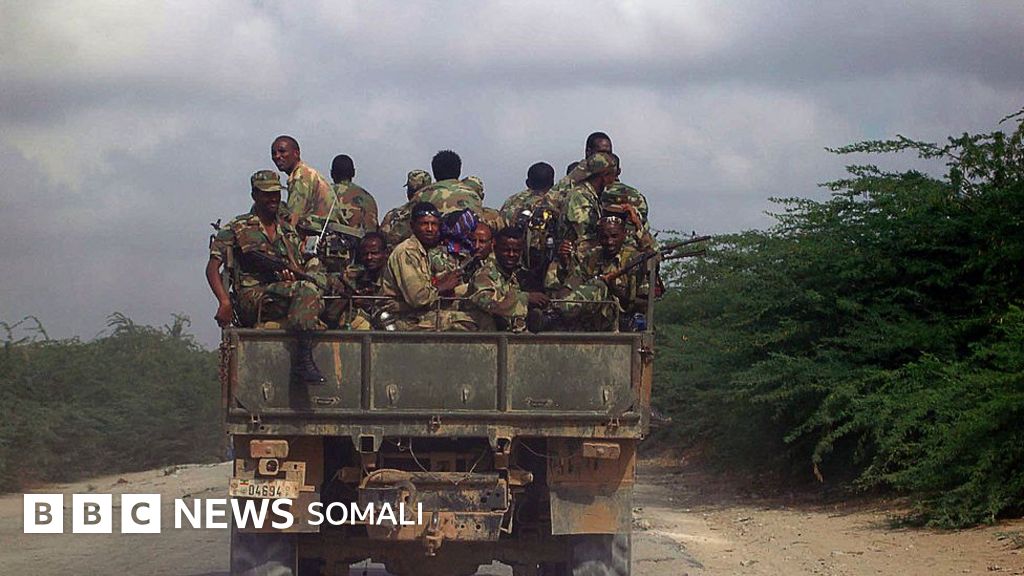 Afar Arrimood oo ku saabsan Soomaalida iyo falaagada Tigreeda - BBC ...