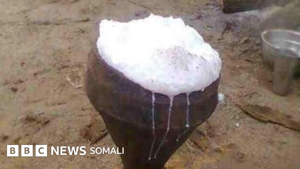 Nooc ka mid ah xoolaha ay Soomaalida dhaqato oo u adkeysta isbedelka ...