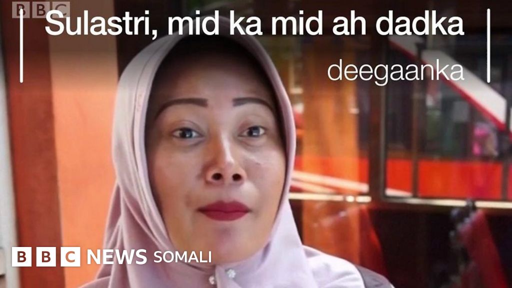 Qarashka baabuur-fuulka maku badelan lahayd qashin? - BBC News Somali