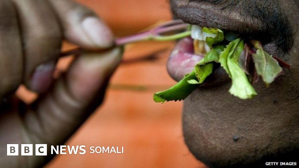 Jaadka Somaliland iyo Puntland: Ma ku adkaatay xakameyntiisa? - BBC ...